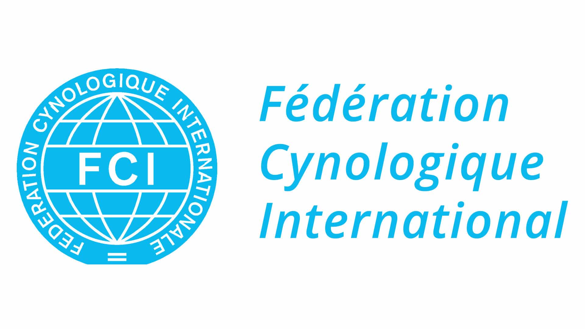 What Is FCI NewDoggy What Is FCI NewDoggy